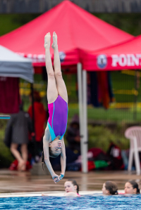 Plongeon - Club de natation Mustang Boucherville